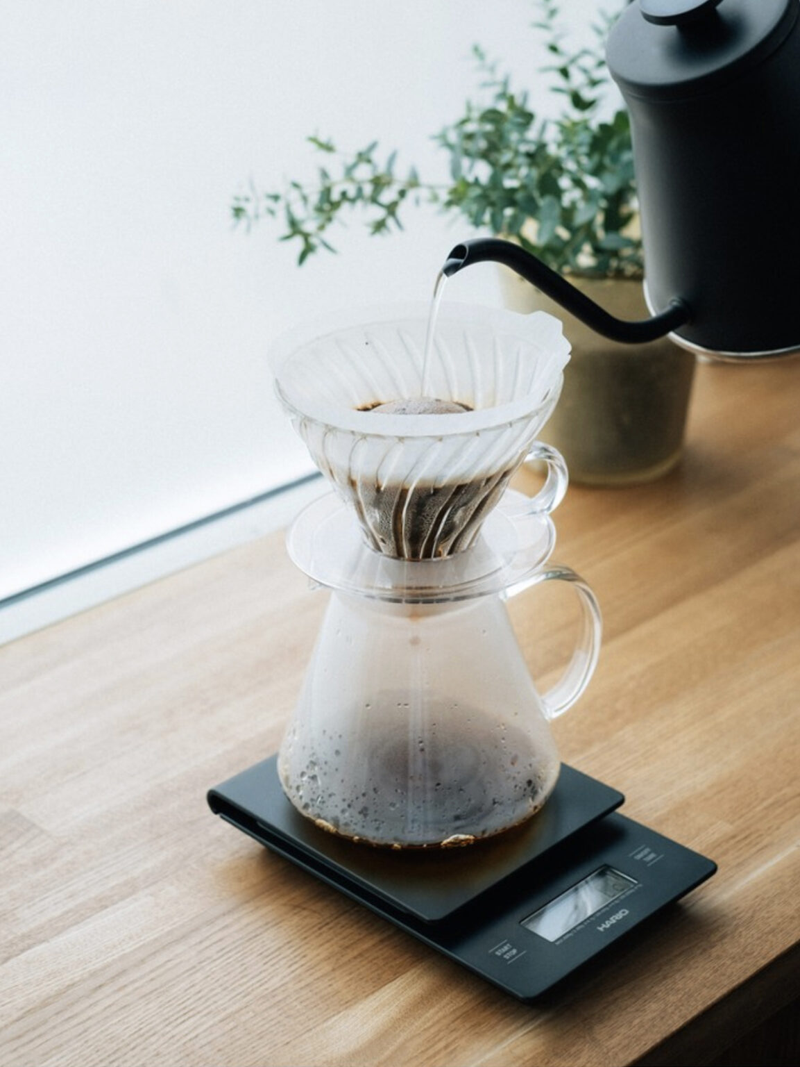 Hario scale - Naga Coffee